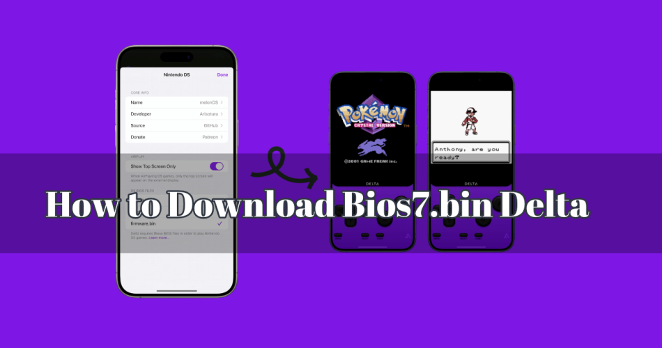 How to Download and Install DS Bios Files for Bios7.bin Delta?